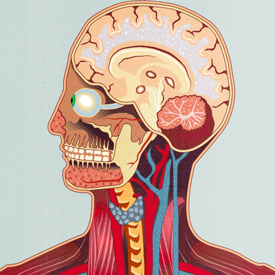 Joren Eulalee – Design & Illustration